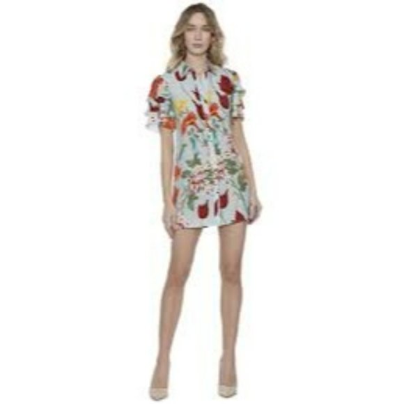 Alice + Olivia | Dresses | Alice Olivia Blue Jem Floral Mini Shirt ...